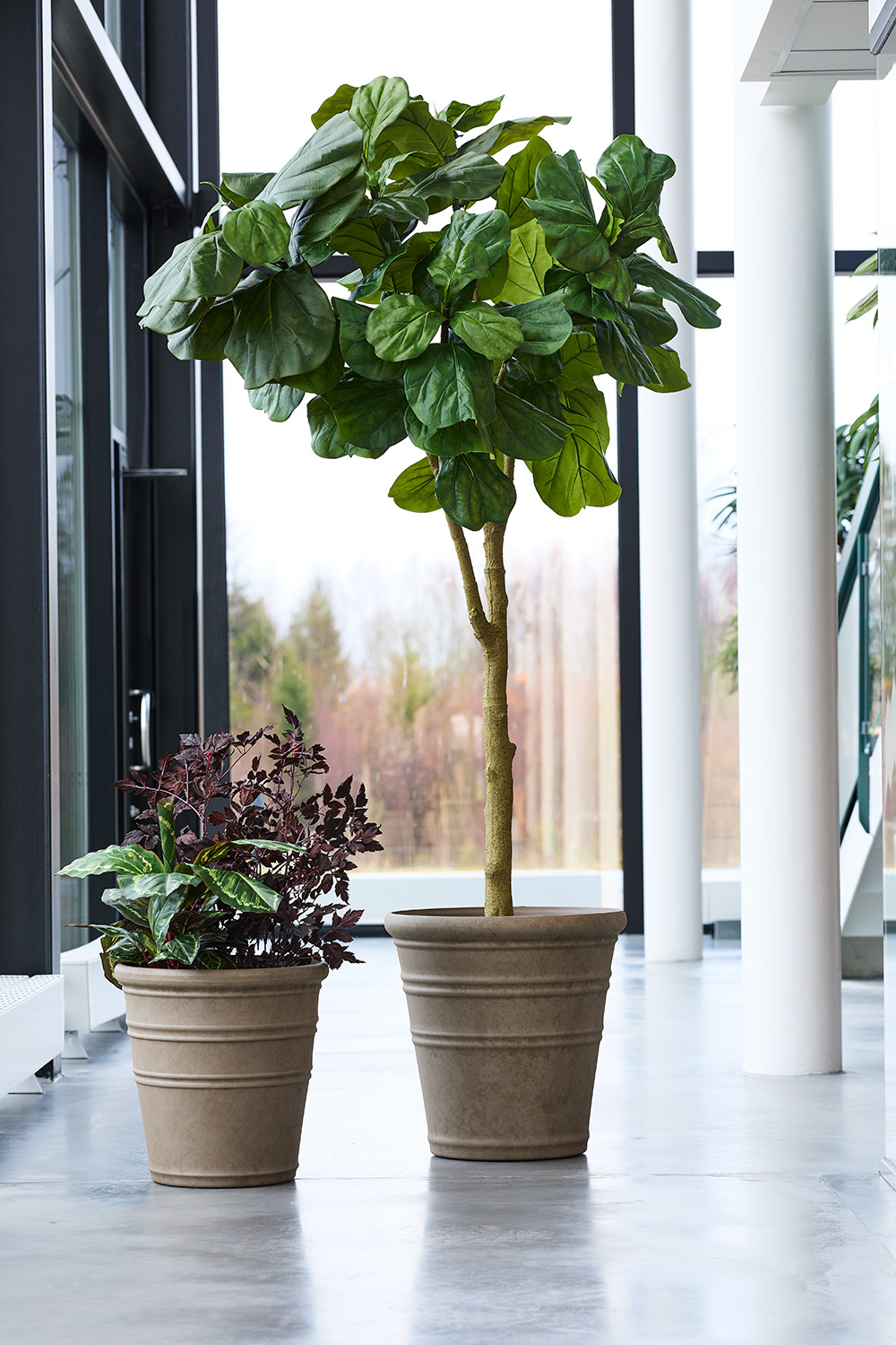 Maranta 600 Götessons